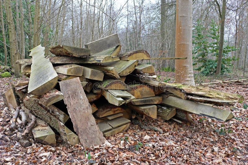 Chopped split logs stock photo. Image of fuel, stacked - 18801192