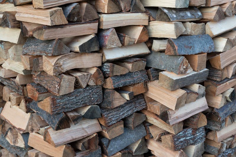 Growth rings on sawn stump stock photo. Image of stump - 345926352