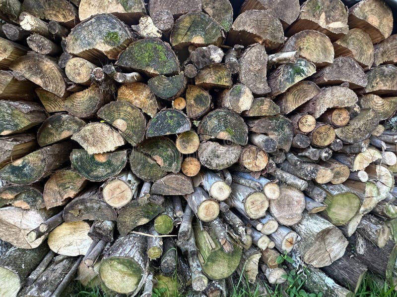 294 Stack Chopped Logs Arranged Pile Natural Wood Texture Stock Photos ...