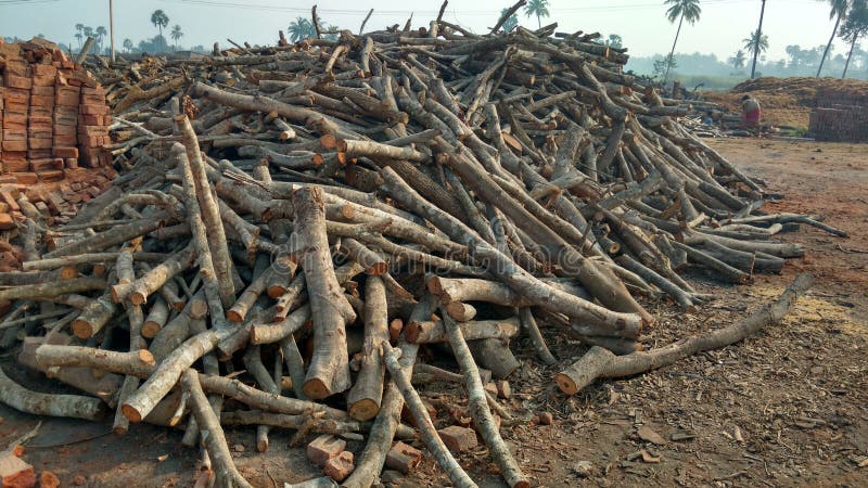 Pile of sticks stock image. Image of texture, trimming - 24295731