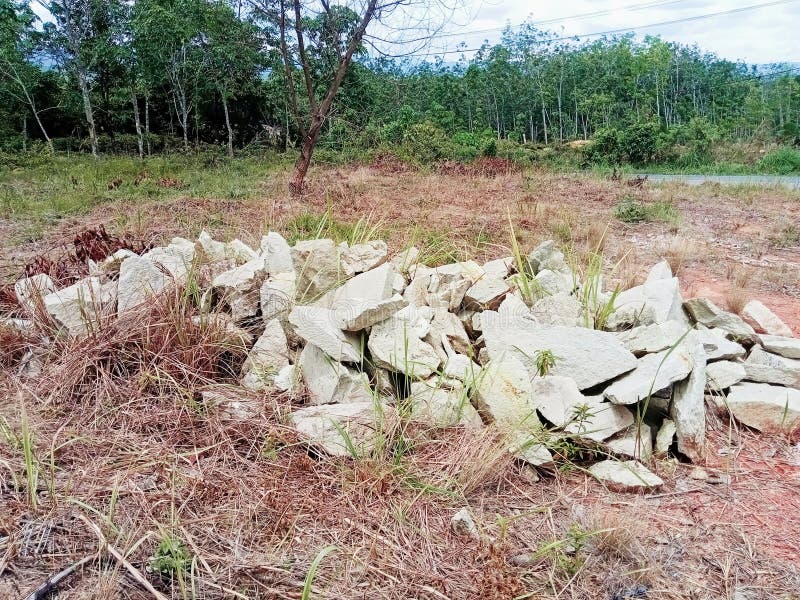 Pile of Stones among Dry Grass Stock Image - Image of tree, rock: 294010117