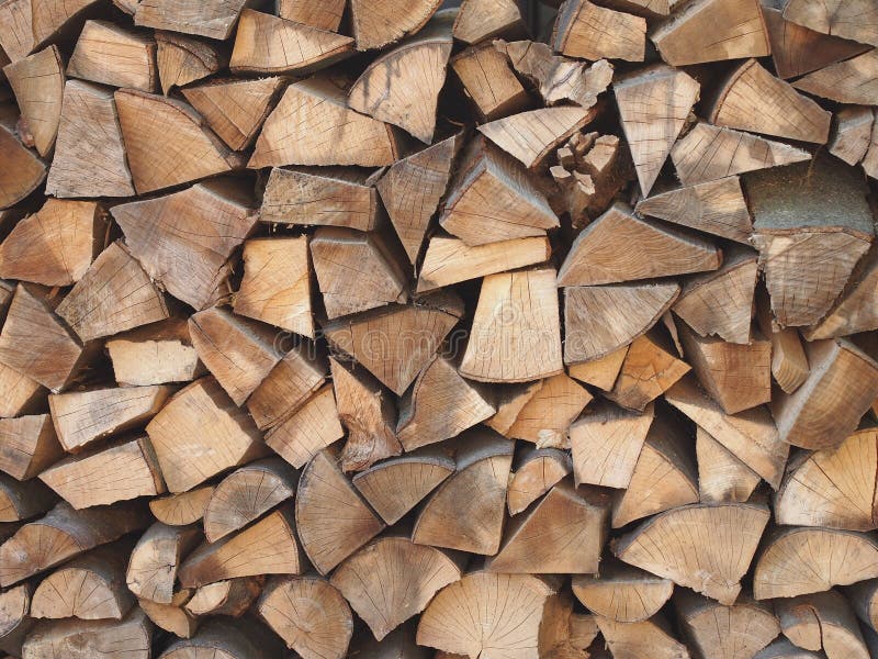 Stored timber stock image. Image of ground, standing - 41618507
