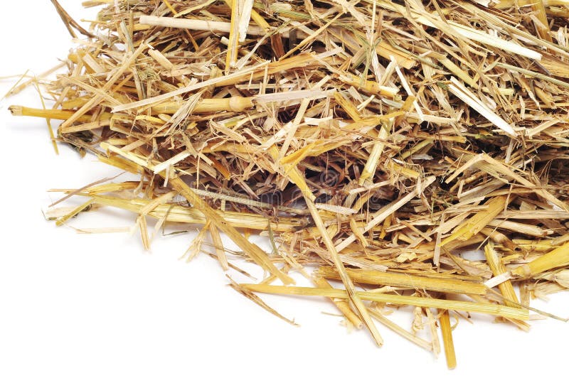 9,902 Straw Stalk Stock Photos - Free & Royalty-Free Stock Photos from ...