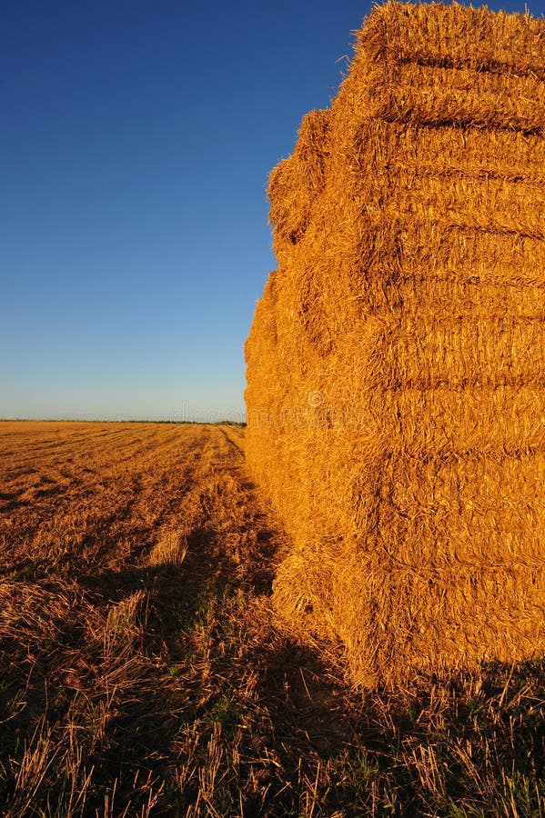 Pile of straw bales 2 stock image. Image of field, autumn - 15780819