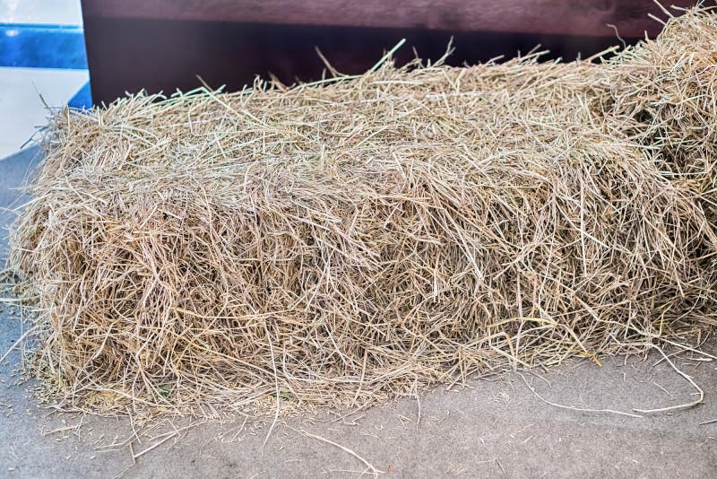 A Pile of Straw on Field, Straw Bales after Harvest Stock Image - Image ...