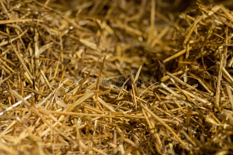 A Pile of Straw in the Stable Stock Photo - Image of harvesting, pile ...