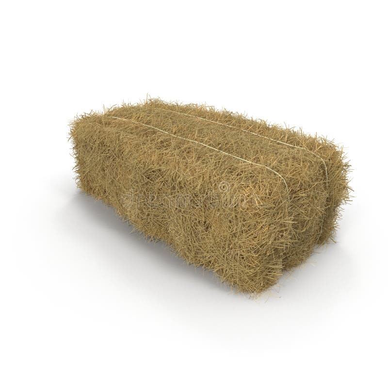 Grass Hay Straw Stock Illustrations – 2,421 Grass Hay Straw Stock ...