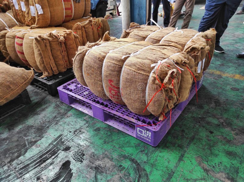 A Pile of Stuff in a Sack at the Green Floor Editorial Stock Image ...