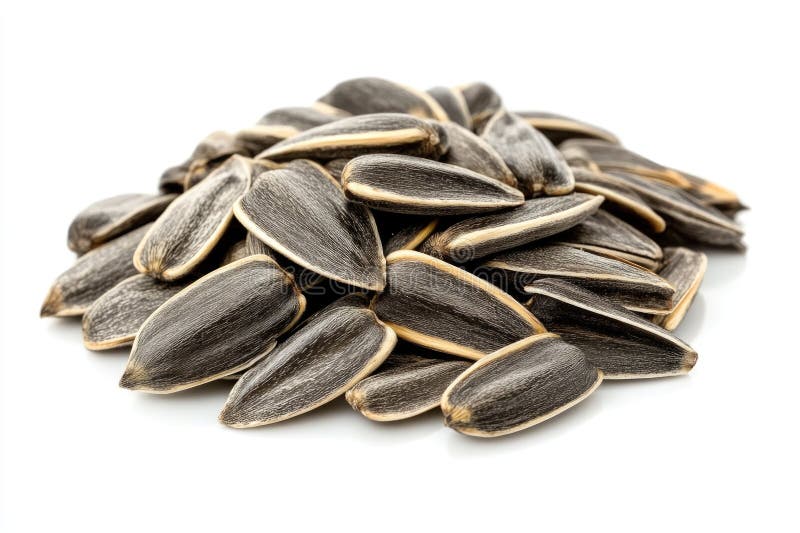 A Pile of Sunflower Seeds on a White Surface Stock Photo - Image of ...