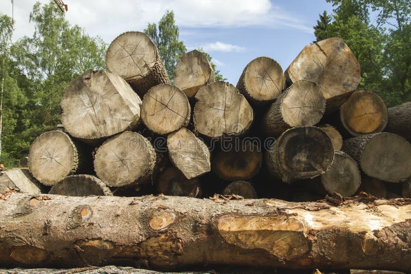 Pile of timber stock image. Image of arrangement, industrial - 140667923