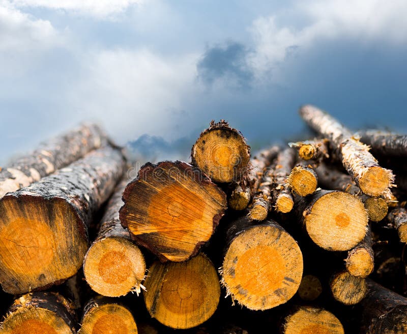 Pile of timber stock image. Image of wood, tree, industry - 66251907