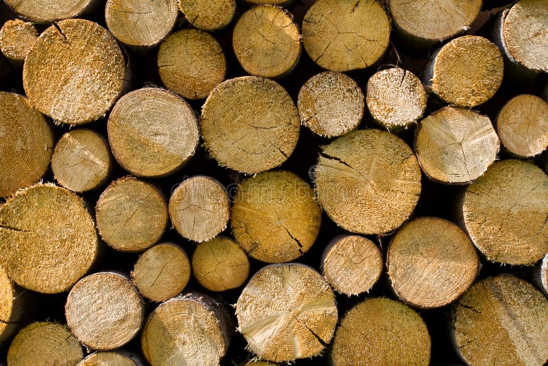Pile of Timber Logs View from the Cut Side Stock Image - Image of ...