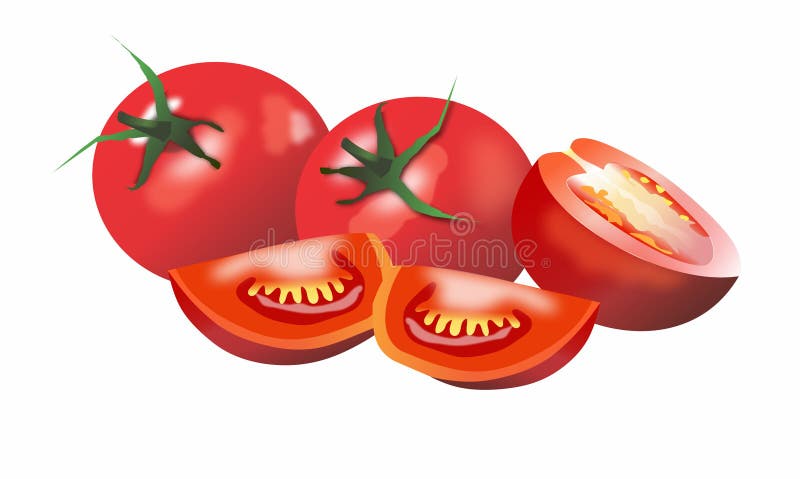 Pile of Tomatoes stock illustration. Illustration of dessert - 224618155
