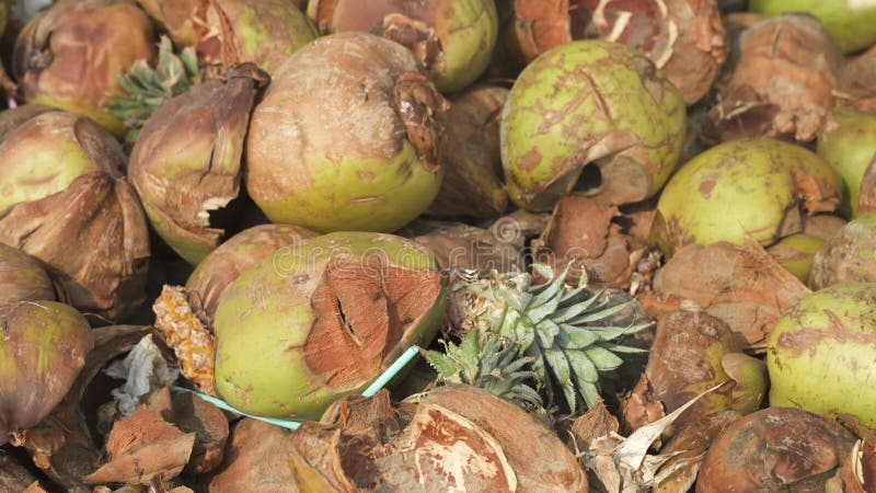 A Pile of Empty Egg Cartons Demonstrating the Use of Recyclable ...