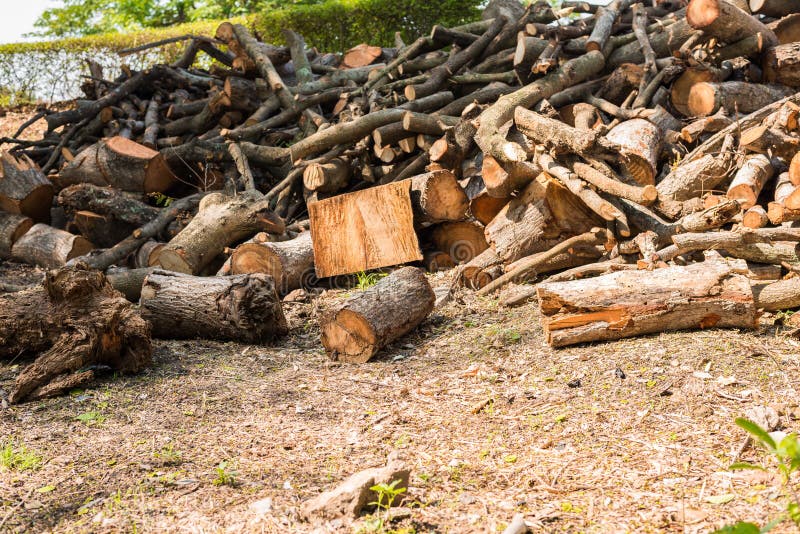 Pile of tree branch stock image. Image of birch, lumber - 52828375