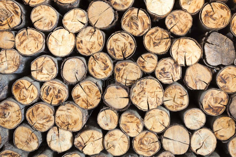 Pile of Tree Stumps, Woods Structure. Stock Image - Image of brown ...