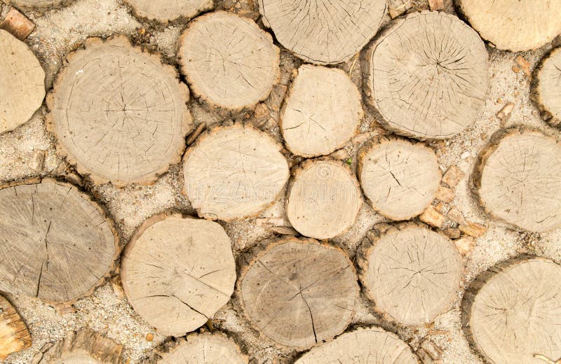 Pile of Tree Stumps, Woods Structure Stock Image - Image of detail ...