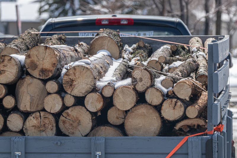 Pile of Tree Trunks and Branches for Firewood on Pickup Bed Stock Photo ...
