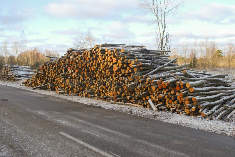 Pile of Tree Trunks by the Roadside. Stock Photo - Image of fire ...