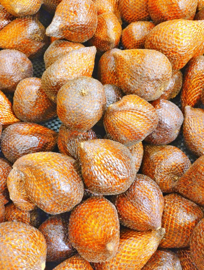 Pile of Tropical Fruit Snake Fruit Stock Image - Image of snake, fruit ...