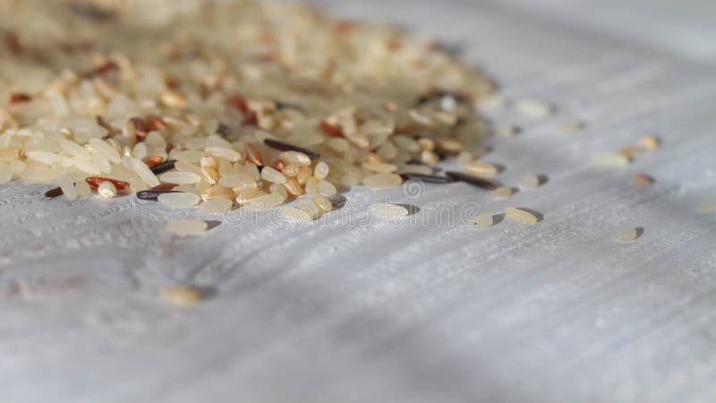 A Pile of Unboiled Fresh Rice of Various Varieties is Scattered on the ...