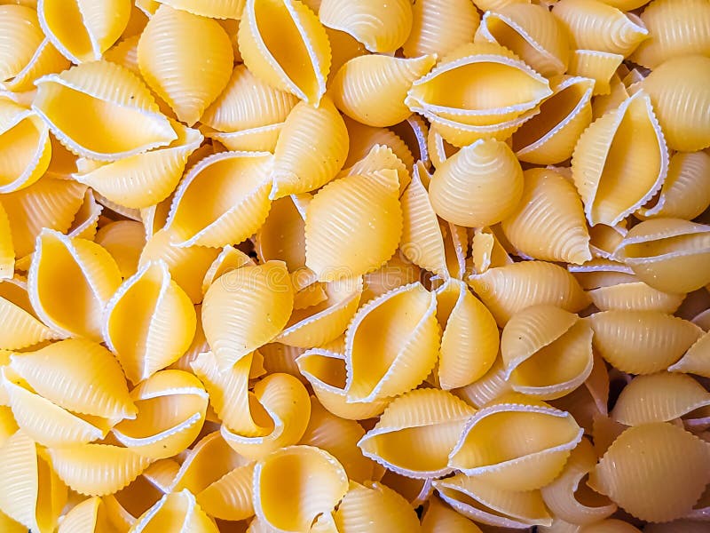 Pile of Uncooked Conchiglie Pasta Shells. Stock Image - Image of ...