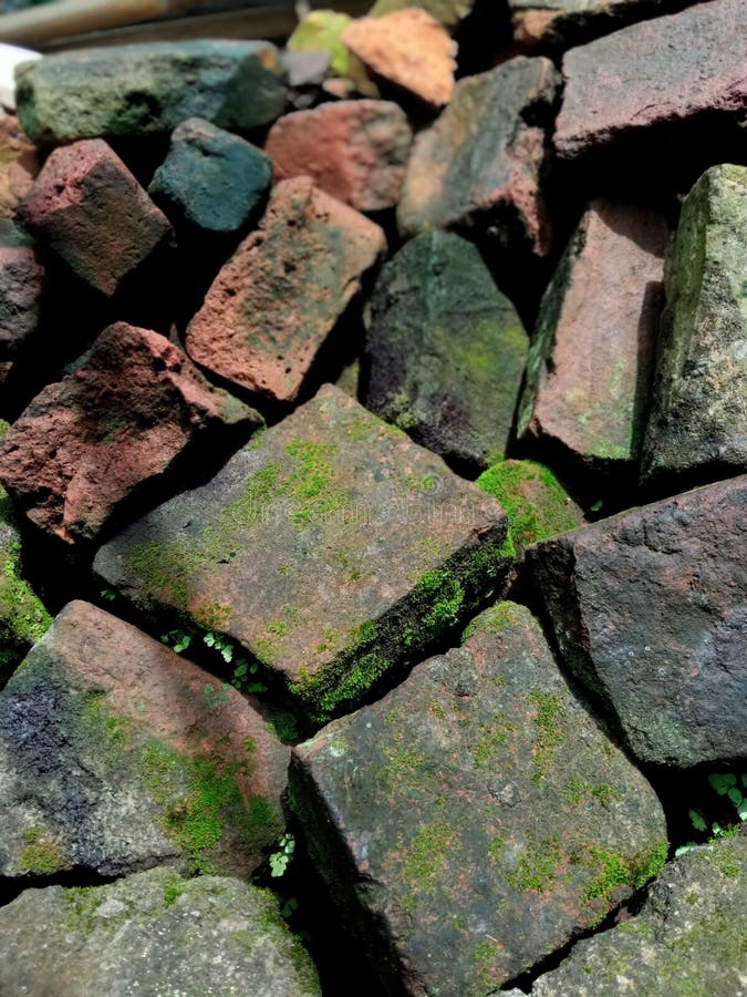 Pile of Unused and Slightly Mossy Bricks Stock Image - Image of unused ...