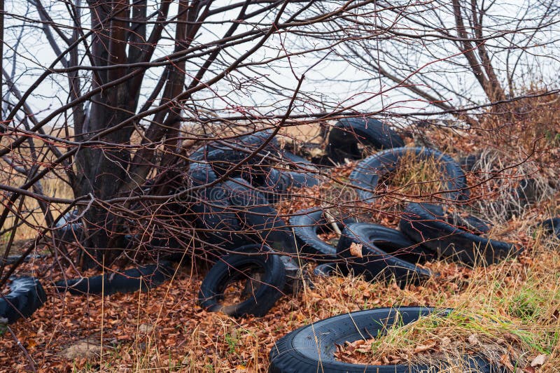 Pile of Used Old Tyres among Trees. Recycle Pollution Environment ...