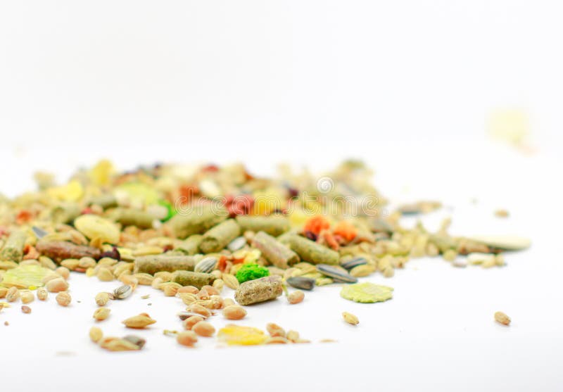 Pile of Various Grains, Isolated on White Stock Photo - Image of barley ...