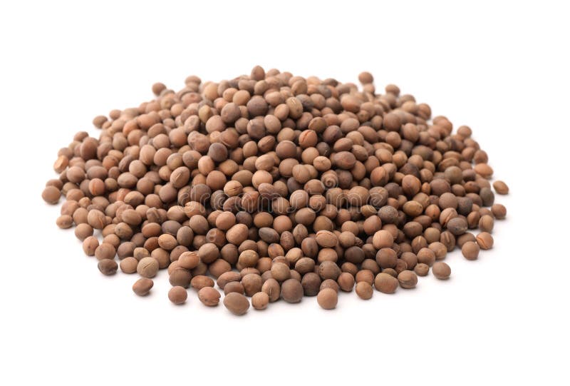 Fava beans,Vicia faba stock photo. Image of medames, frame - 34848830