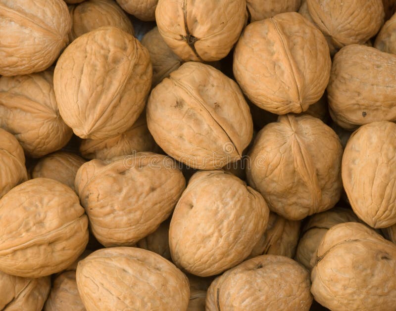 Pile of walnuts stock photo. Image of persian, nutrition - 7133488