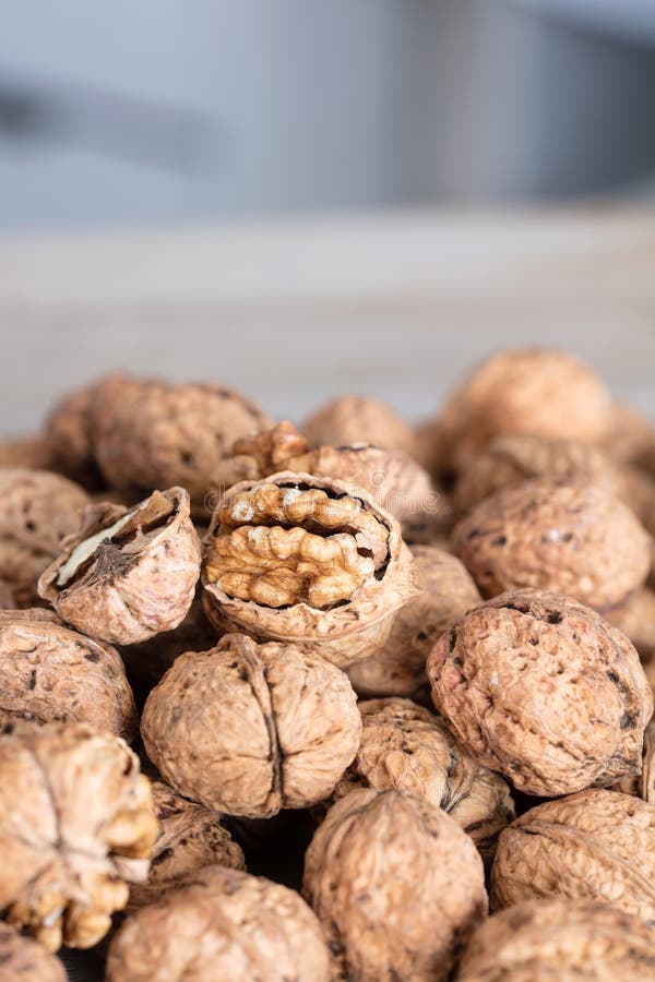 A pile of walnuts close-up stock photo. Image of blank - 253716870