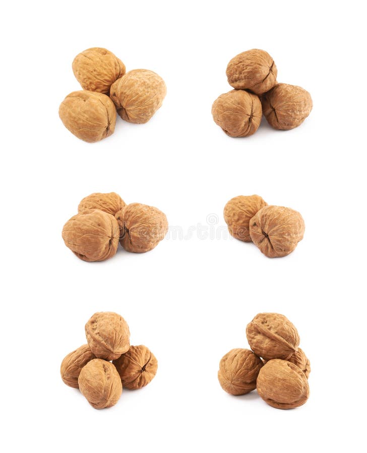 Pile of walnuts isolated stock photo. Image of kernel - 108115712