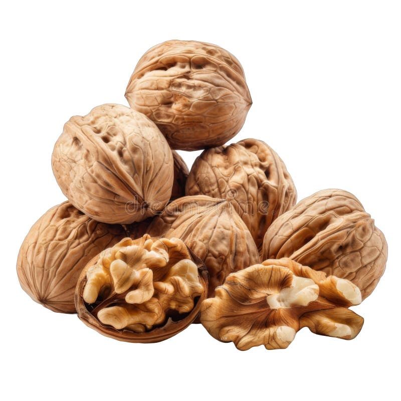 A Pile of Walnuts with One Open Showing the Nut Stock Image ...