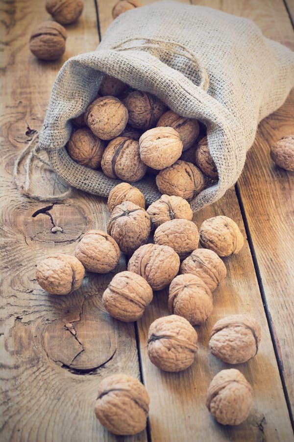 Shell Inbag Stock Photos - Free & Royalty-Free Stock Photos from Dreamstime