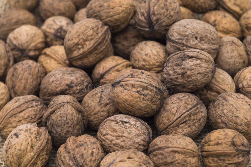 Pile of Wanuts stock image. Image of fruit, produce, walnuts - 62361869