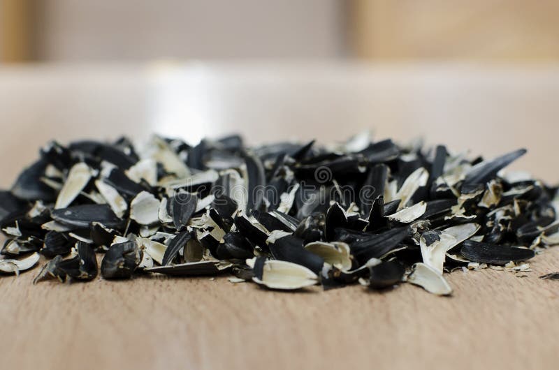 Pile of Waste from Seeds on a Neutral Background Stock Image - Image of ...