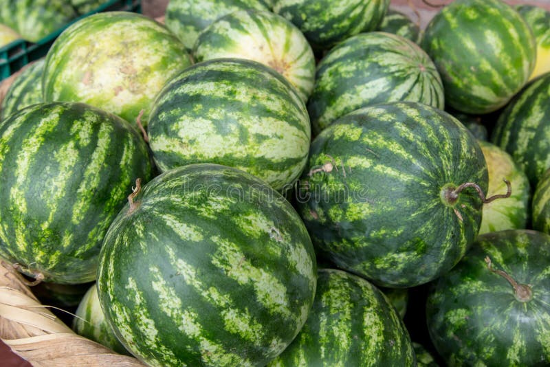 Pile of Watermelon in a Basket Stock Photo - Image of organic, eating ...