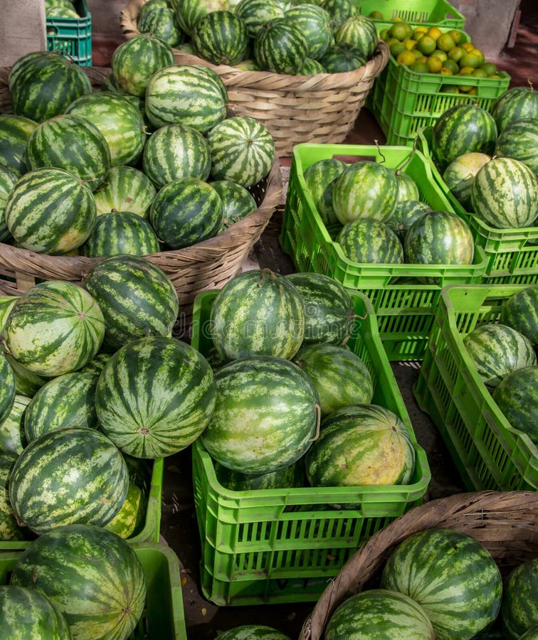 185 Watermelon Boxes Stock Photos - Free & Royalty-Free Stock Photos ...