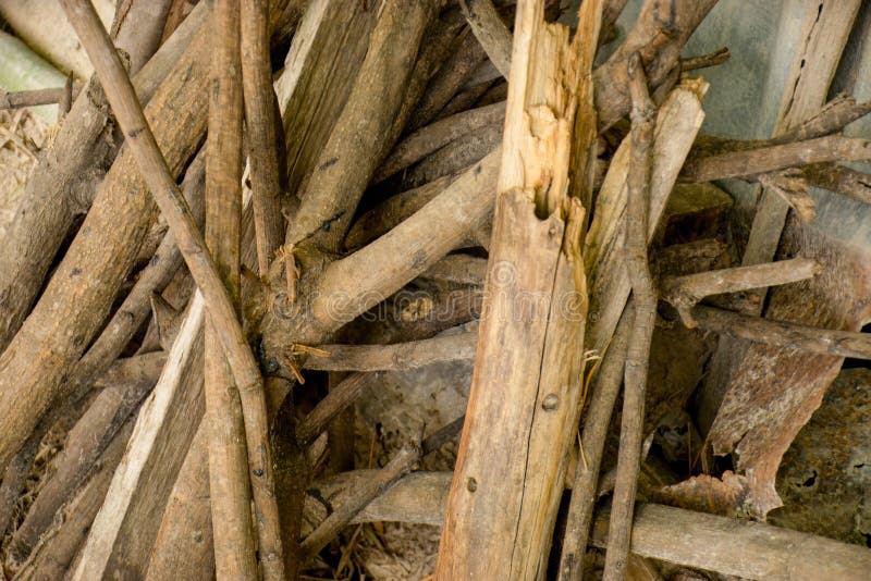 Pile Dry Decaying Branches Ground Stock Photos - Free & Royalty-Free ...