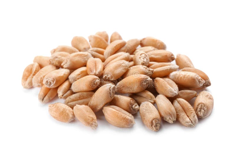 Pile of Wheat Grains on White Background Stock Image - Image of ...