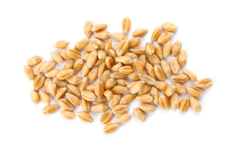 Pile of Wheat Grains on White Background, Top View Stock Image - Image ...