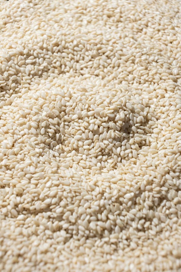 Pile of White Roasted Sesame Macro Side View Stock Image - Image of ...