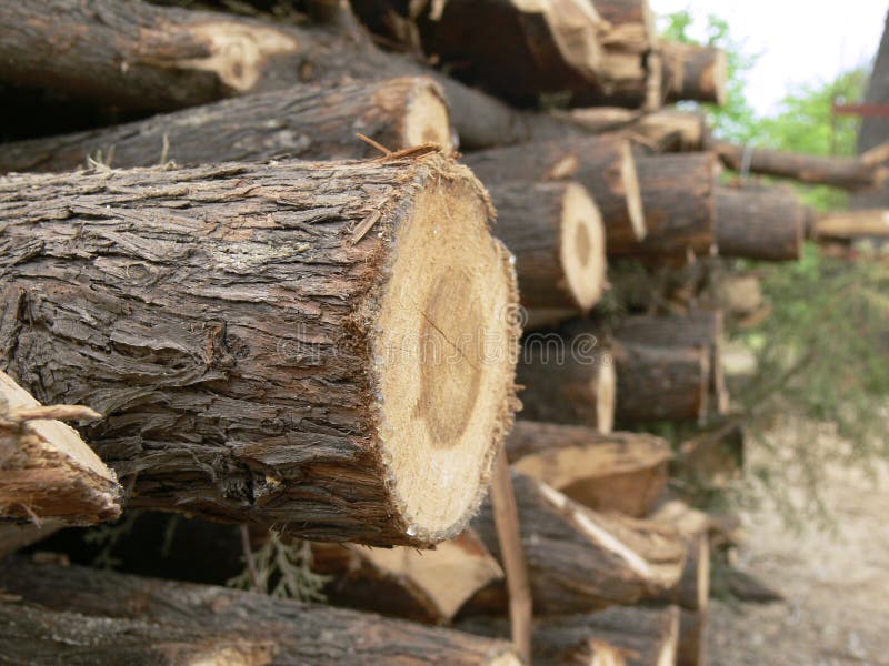 A pile of wood stock photo. Image of wood, kerf, lumber - 5060918