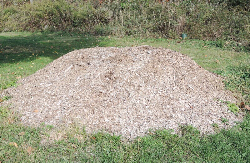Pile of wood chips stock photo. Image of equipment, logging - 46485654
