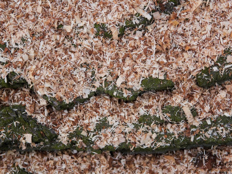 A Pile of Wood Chips with a Green Mossy Surface Stock Image - Image of ...