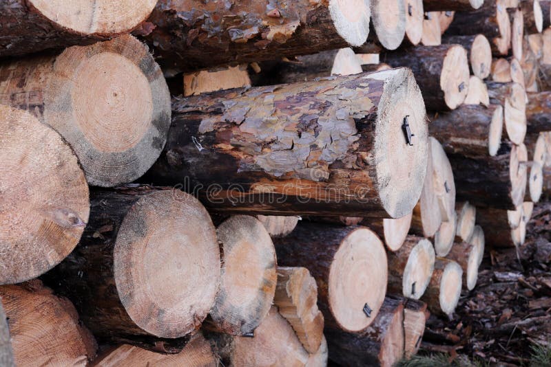 Pile of Wood Logs, Round Firewood at Sawmill Stock Image - Image of ...