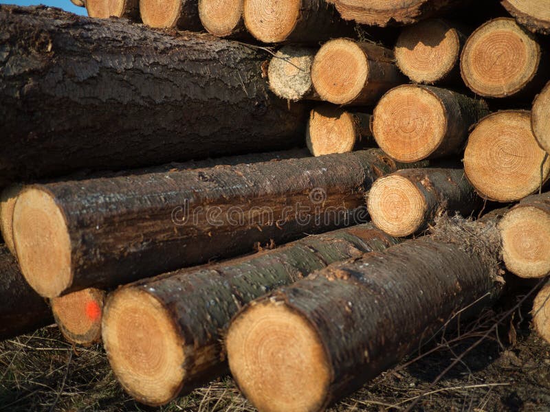 A pile wood logs stock photo. Image of firewood, heating - 54564268