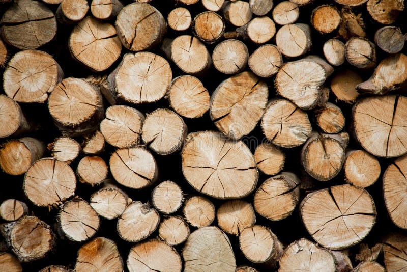 Pile of Wood Logs Storage for Industry. Stock Photo - Image of storage ...