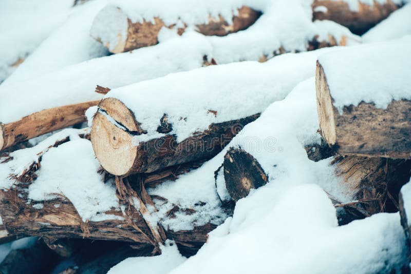Pile of Wood Logs Under Snow Stock Photo - Image of lumber, natural ...